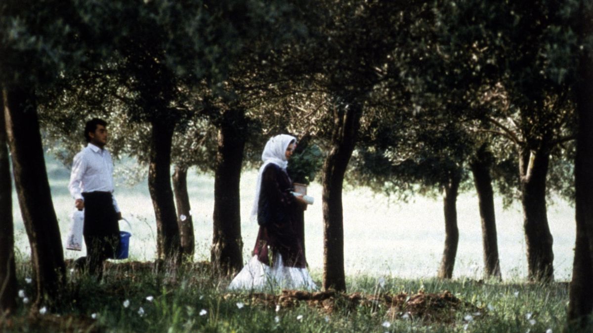 ‎Through the Olive Trees (1994) directed by Abbas Kiarostami • Reviews, film + cast • Letterboxd